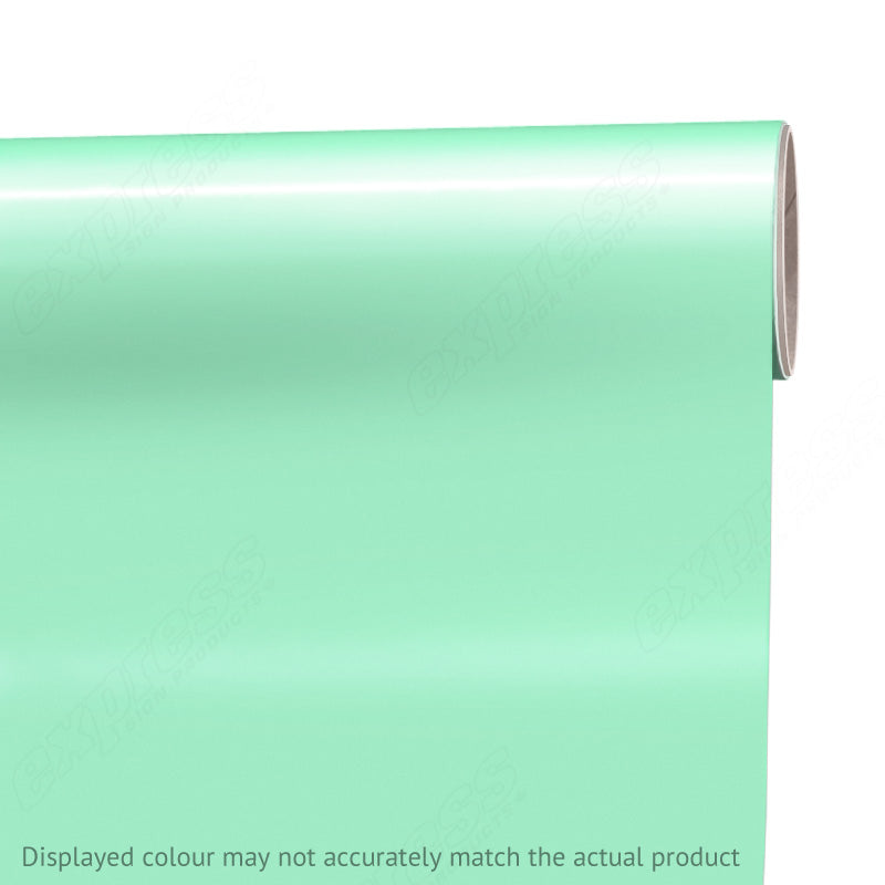 Siser EasyPSV® Permanent Vinyl - Fresh Mint – Crafter's Vinyl Supply
