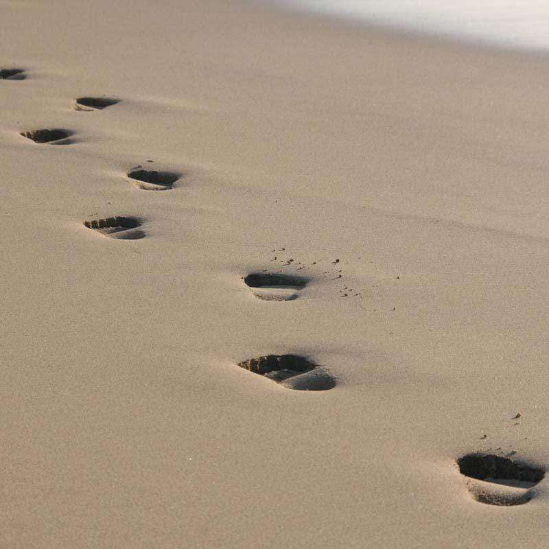 Sandy Sojourn Footsteps Pattern - Pattern Vinyl and HTV – Crafter's ...