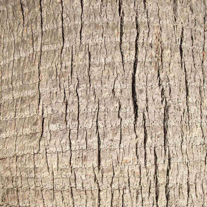 Rustic Bark Harmony Pattern - Pattern Vinyl and HTV – Crafter's Vinyl ...