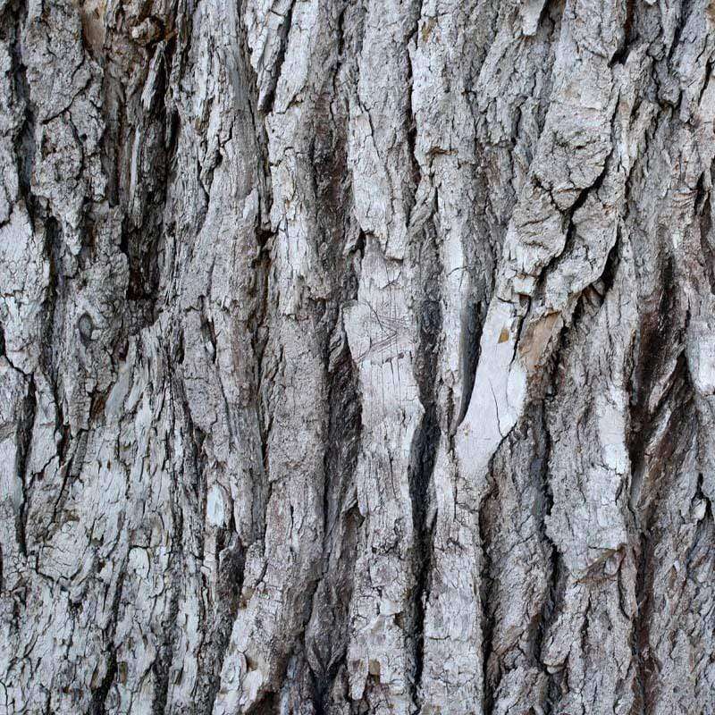 Ancient Bark Tapestry Pattern - Pattern Vinyl and HTV – Crafter's Vinyl ...